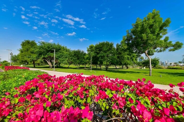 15 Amazing Parks in Qatar for nature escape